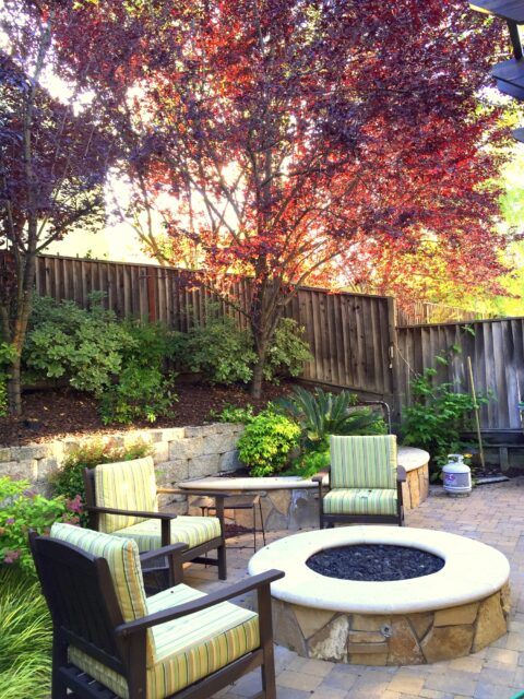 Fall Tree Care Tips - BackyardPatioLife