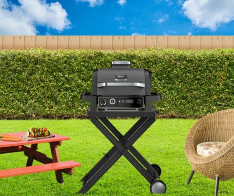 Ninja OG701 Woodfire Outdoor Grill & Smoker Review - BackyardPatioLife