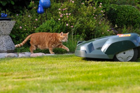 Robotic Lawn Mowers Safety Features - BackyardPatioLife