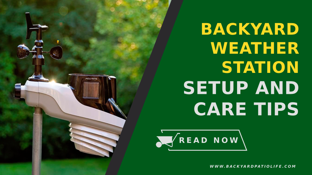 Backyard Weather Station Setup and Care Tips - BackyardPatioLife