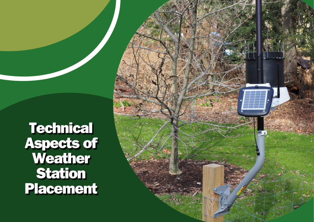 Choose the Best Location for Your Backyard Weather Station ...