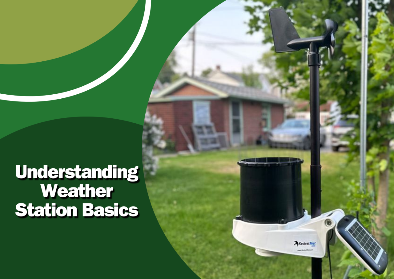 Choose the Best Location for Your Backyard Weather Station ...