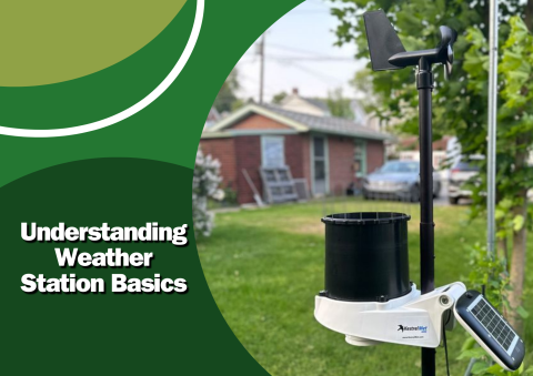 Choose the Best Location for Your Backyard Weather Station ...