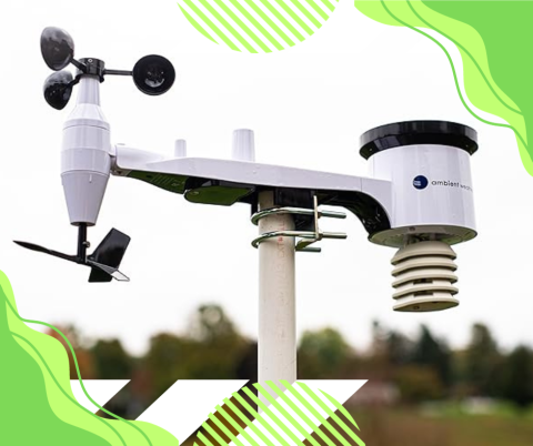 Backyard Weather Station Setup and Care Tips - BackyardPatioLife