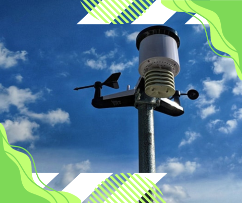 Backyard Weather Station Setup and Care Tips - BackyardPatioLife